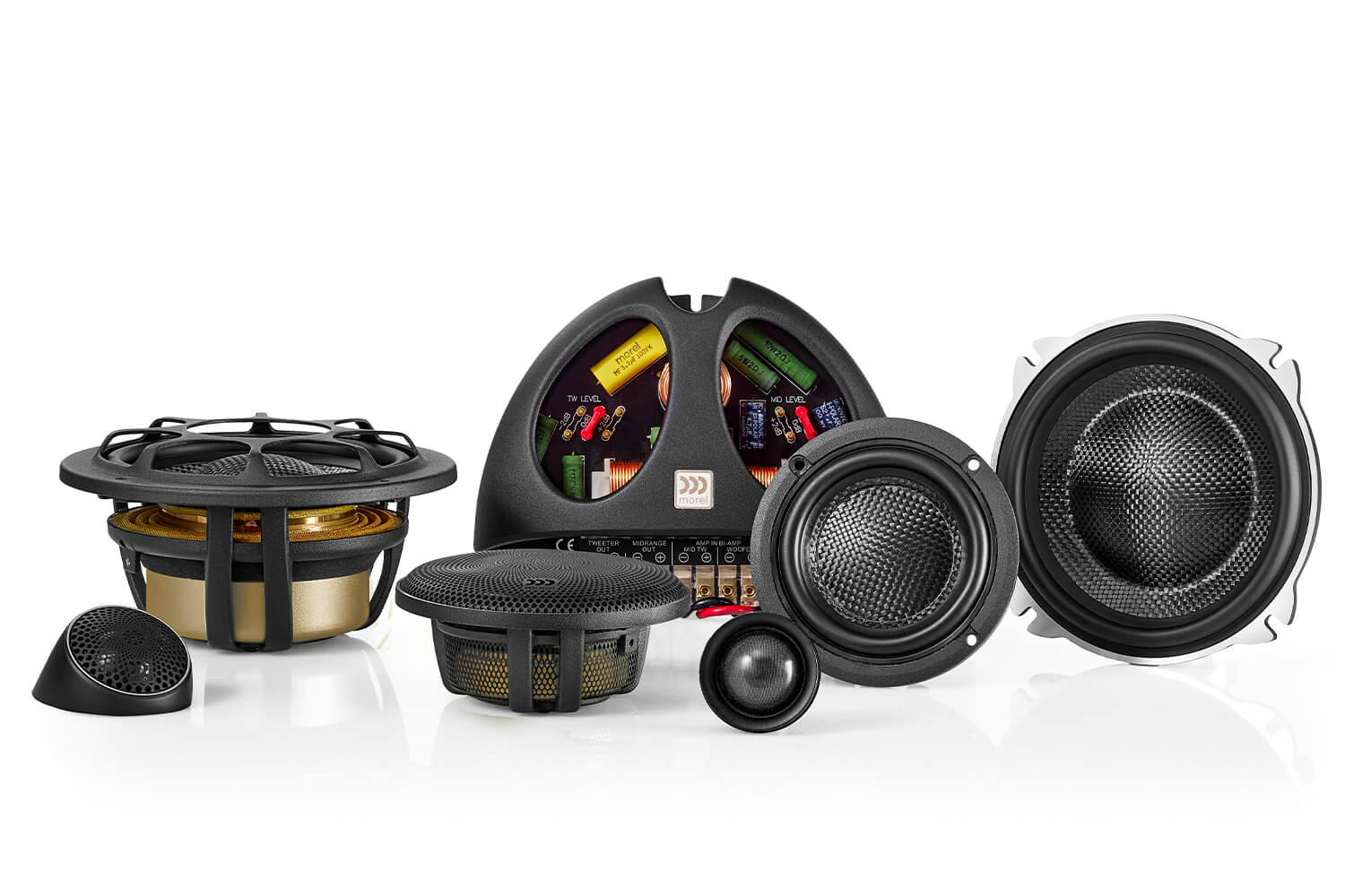 Elate Carbon – Morel Australia